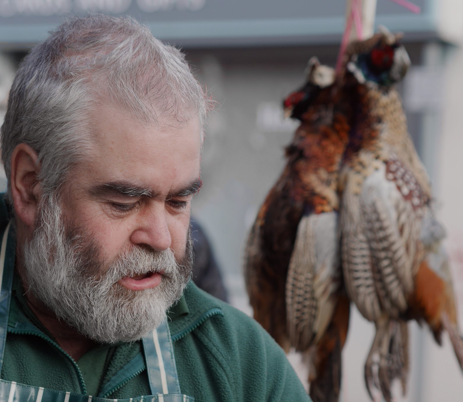 About Us – Wild & Rare